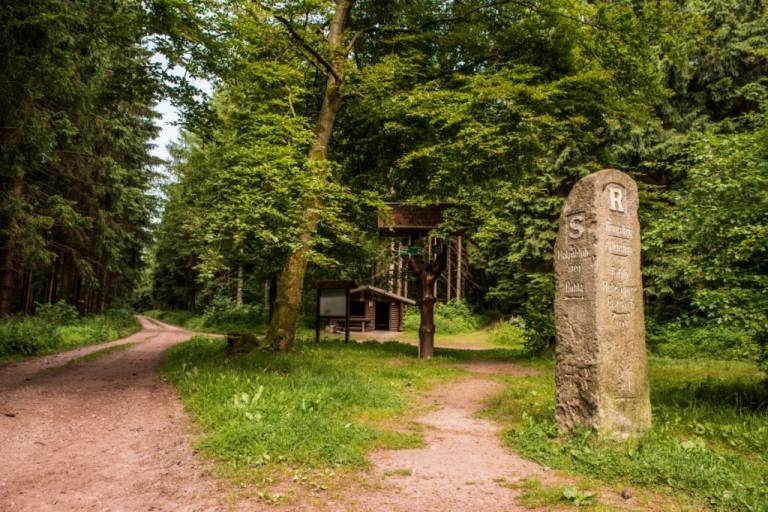 Rennsteig im Thüringer Wald: Ein Wanderparadies | Ferienhaus Lichtung